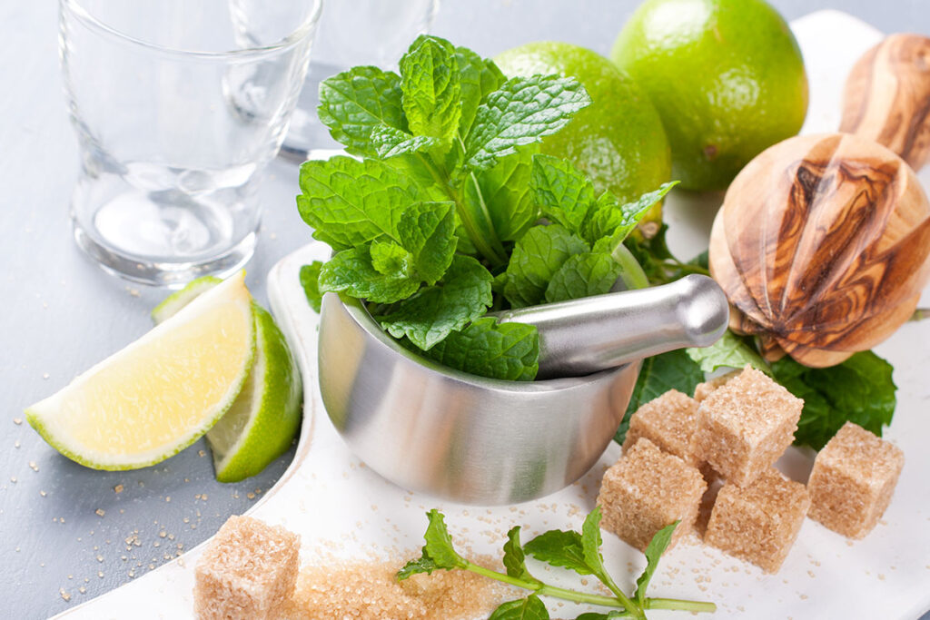 Mojito 5l : Secrets de préparation